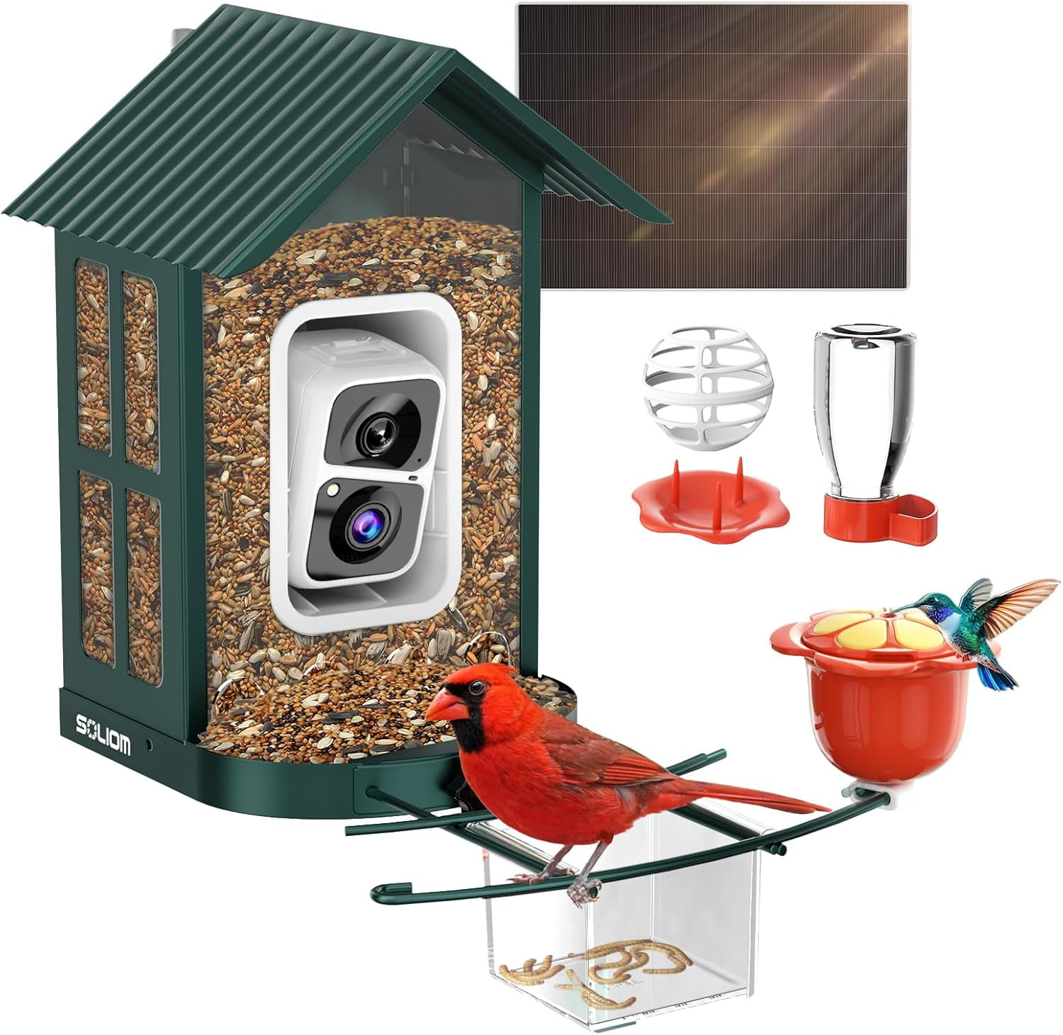 Bird Feeder with Camera Solar Powered, Live Video, Squirrel Proof Metal ...