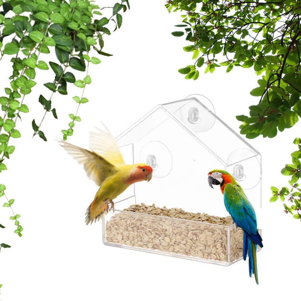 Bird Feeder For Crystal-Clear Design, Enhanced Suction Grip ...