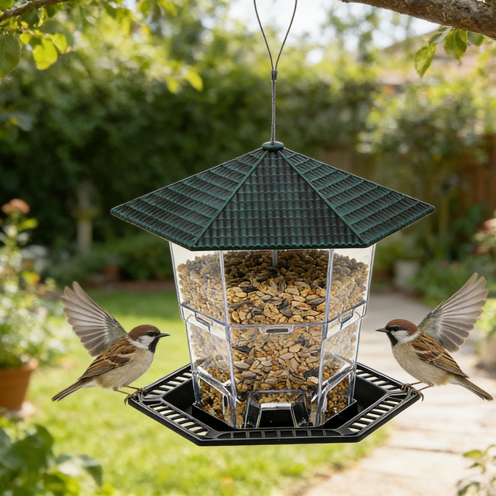 Bird Feeder,Hanging Bird Feeder,Bird Feeders for Outdoors,Hanging Bird ...