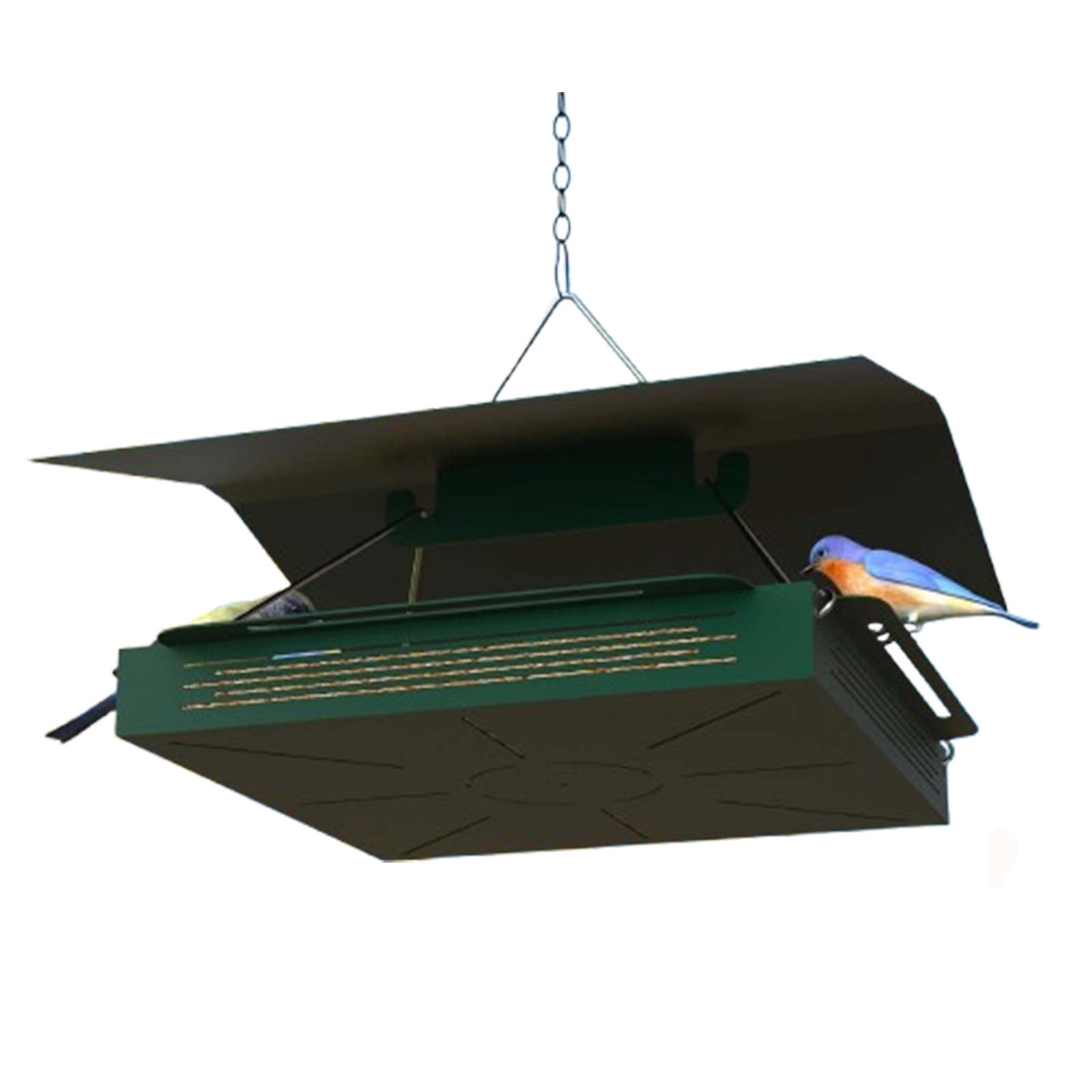 Bird Feeder Hanging Tray, Hummingbird Feeder Hanging Tray Mesh Seed ...
