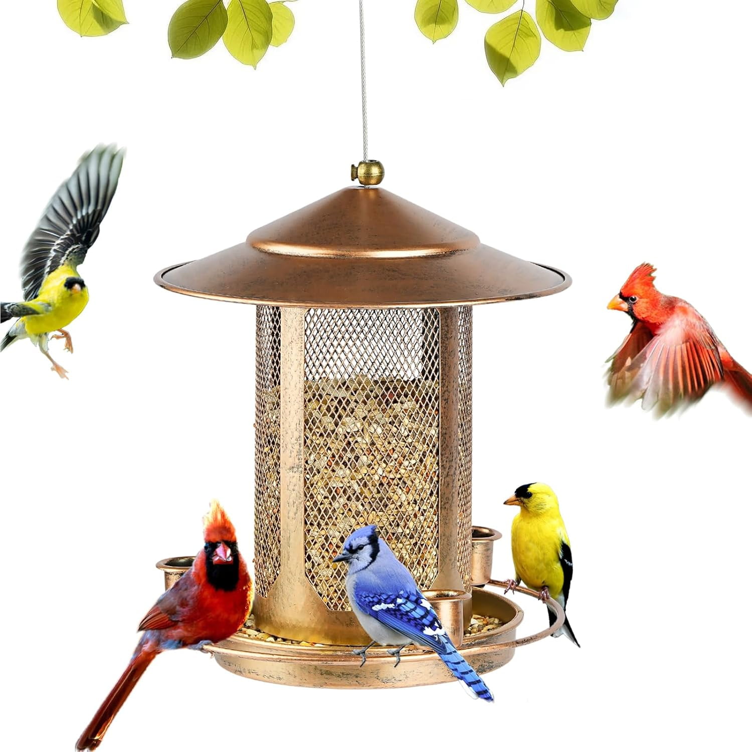 Bird Feeder,Heavy Duty Bird Feeders for Outdoors, Metal Squirrel Proof ...