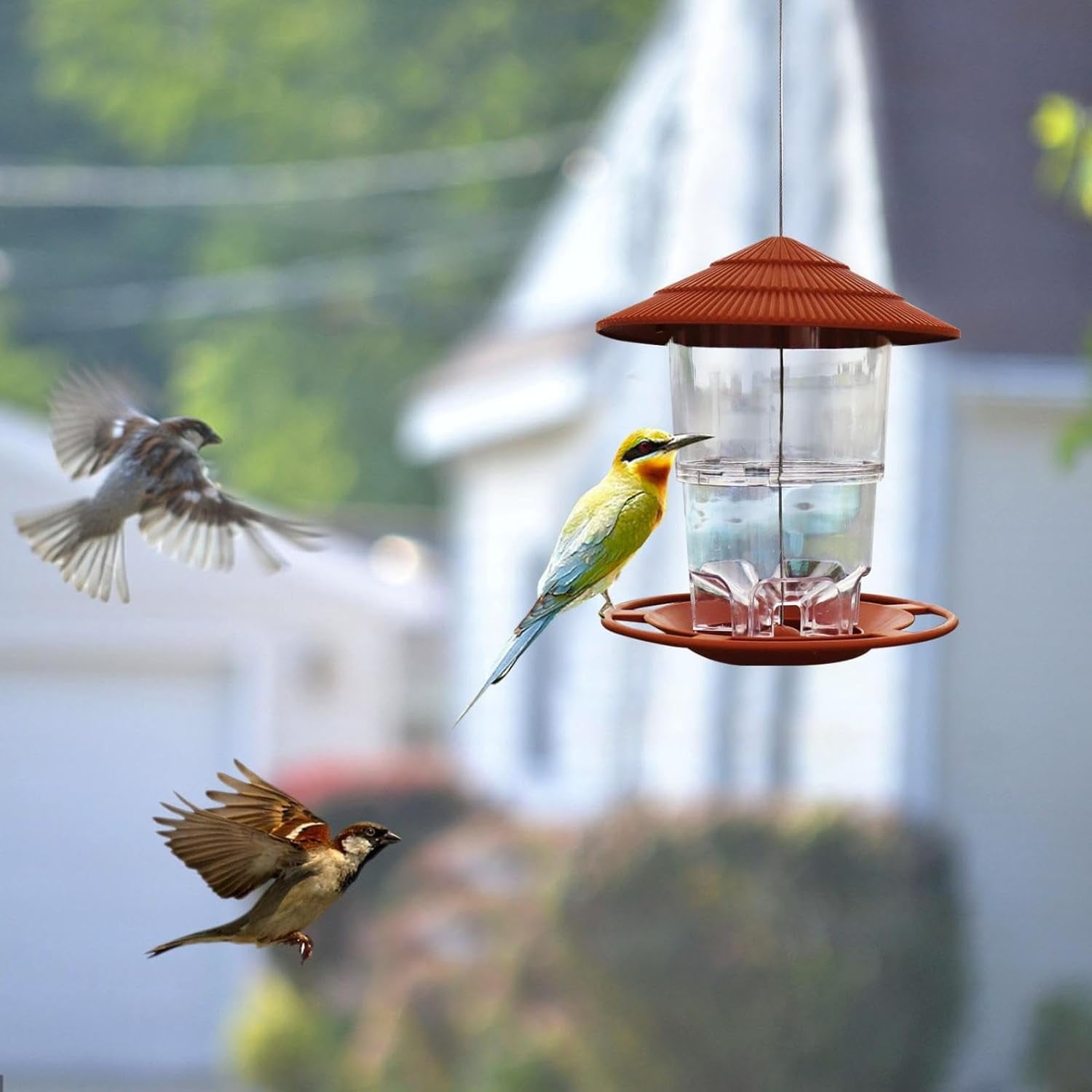 Bird Feeder for Outdoor Hanging, 7.67'' Tall Latch Feature, Heavy Duty ...