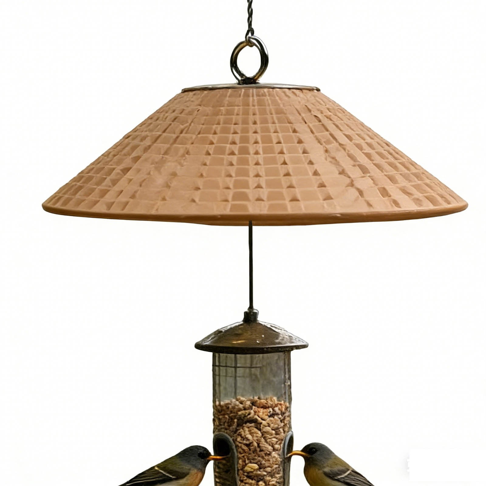 Bird Feeder Rain Guard Large Waterproof Clear Shield Birds Feeders ...