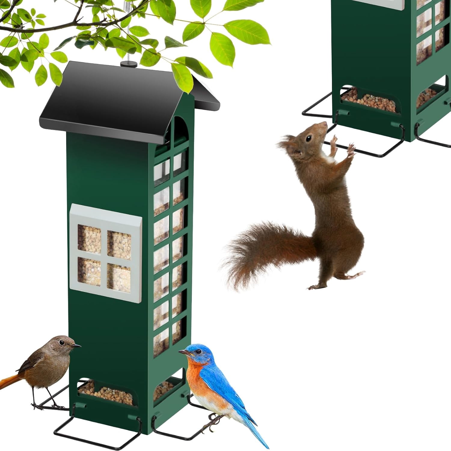 Bird Feeder Squirrel Proof Gravity Protection- Blue Jay Metal Bird ...