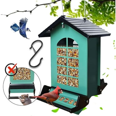 Backyard Essentials Bluebird Feeder, Wild Outdoor Bird Seed and ...