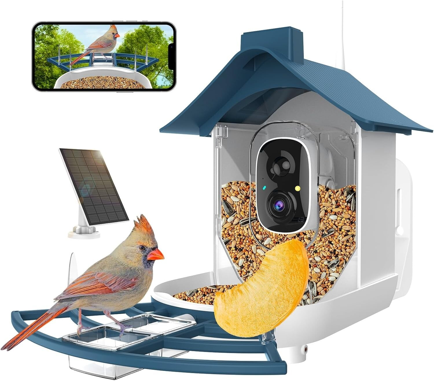 Bird Feeder w/4K Camera 1080P AI Identify 11000+ Bird Auto Capture Bird ...