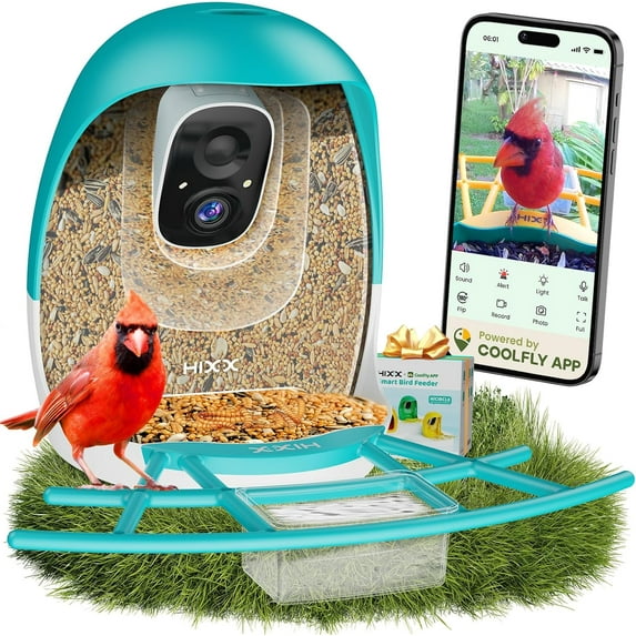 Bird Feeder with Camera, AI Identify Birds & Capture, Live Camera ...