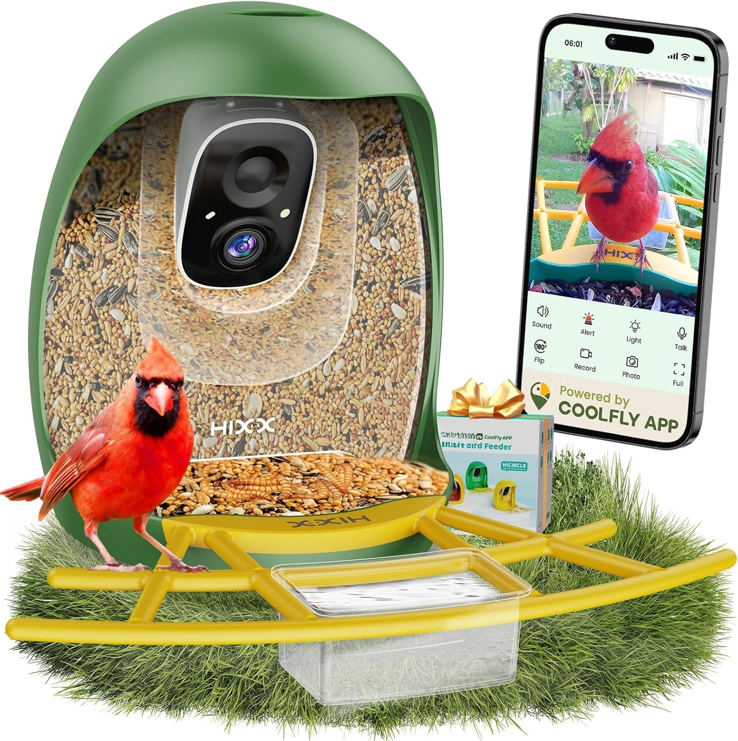 Bird Feeder with Camera, AI Identify Birds & Capture, Live Camera ...