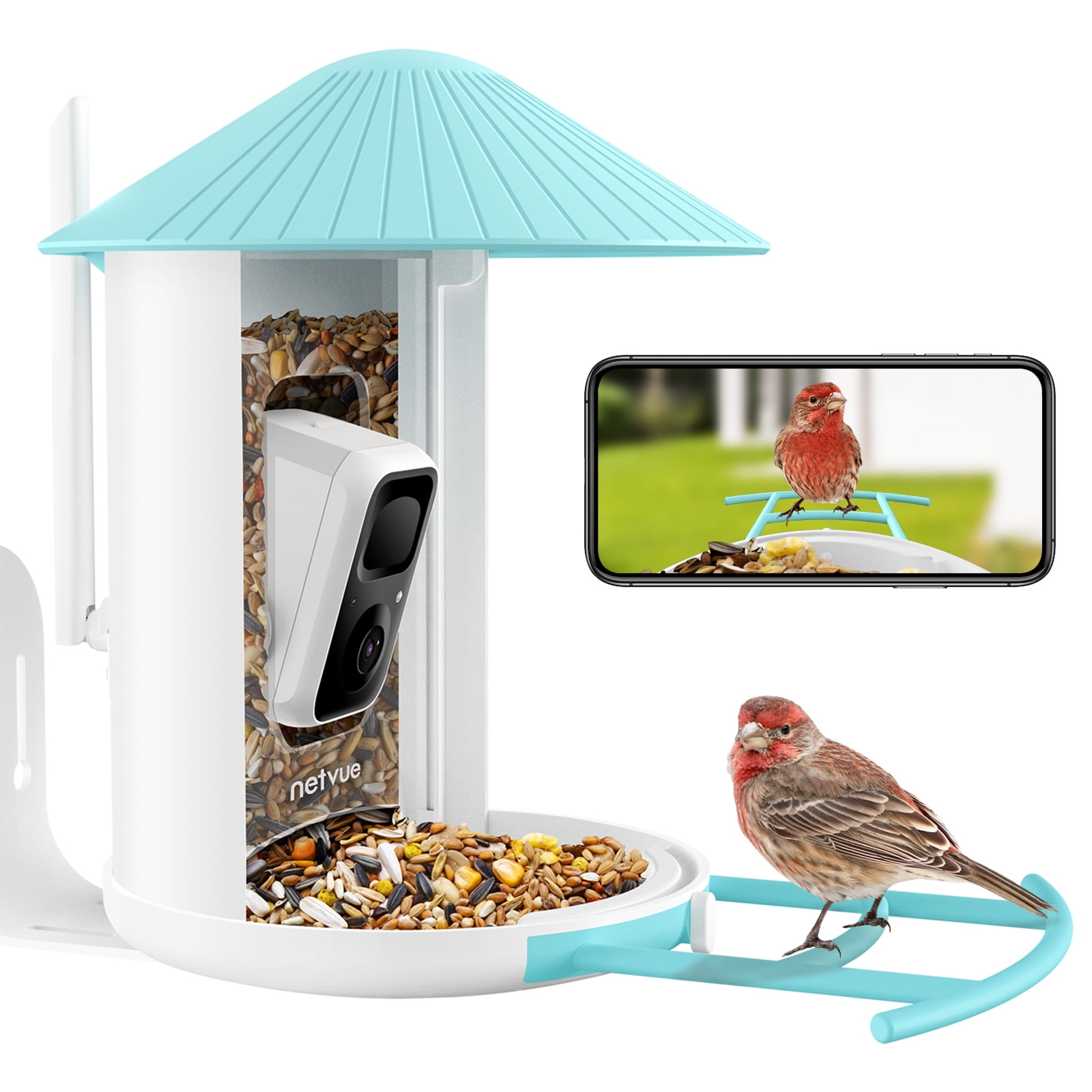 Free Shipping! Bird Feeder with Camera, Netvue Birdfy Bird Feeders ...