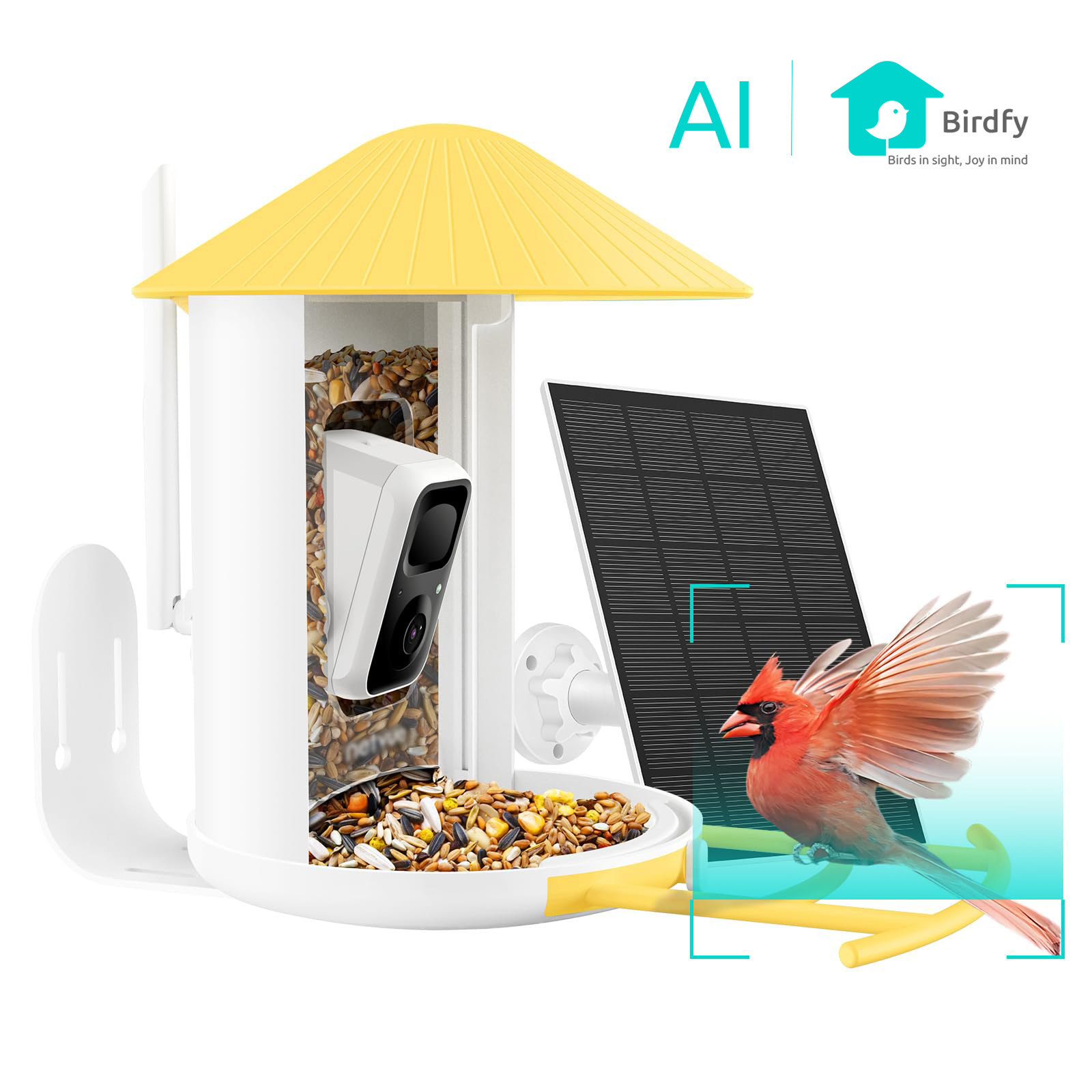 Lazy Hill Farm Designs Loretta Bird Feeder, Redwood and Vinyl - Walmart.com