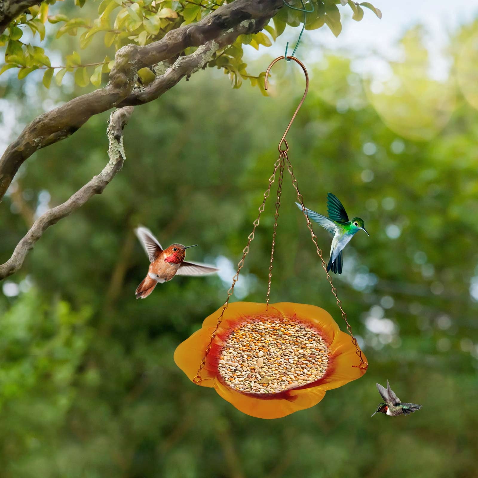 Bird Feeder with Camera Rose Gold Circular Metal Bowl with Three Chain ...