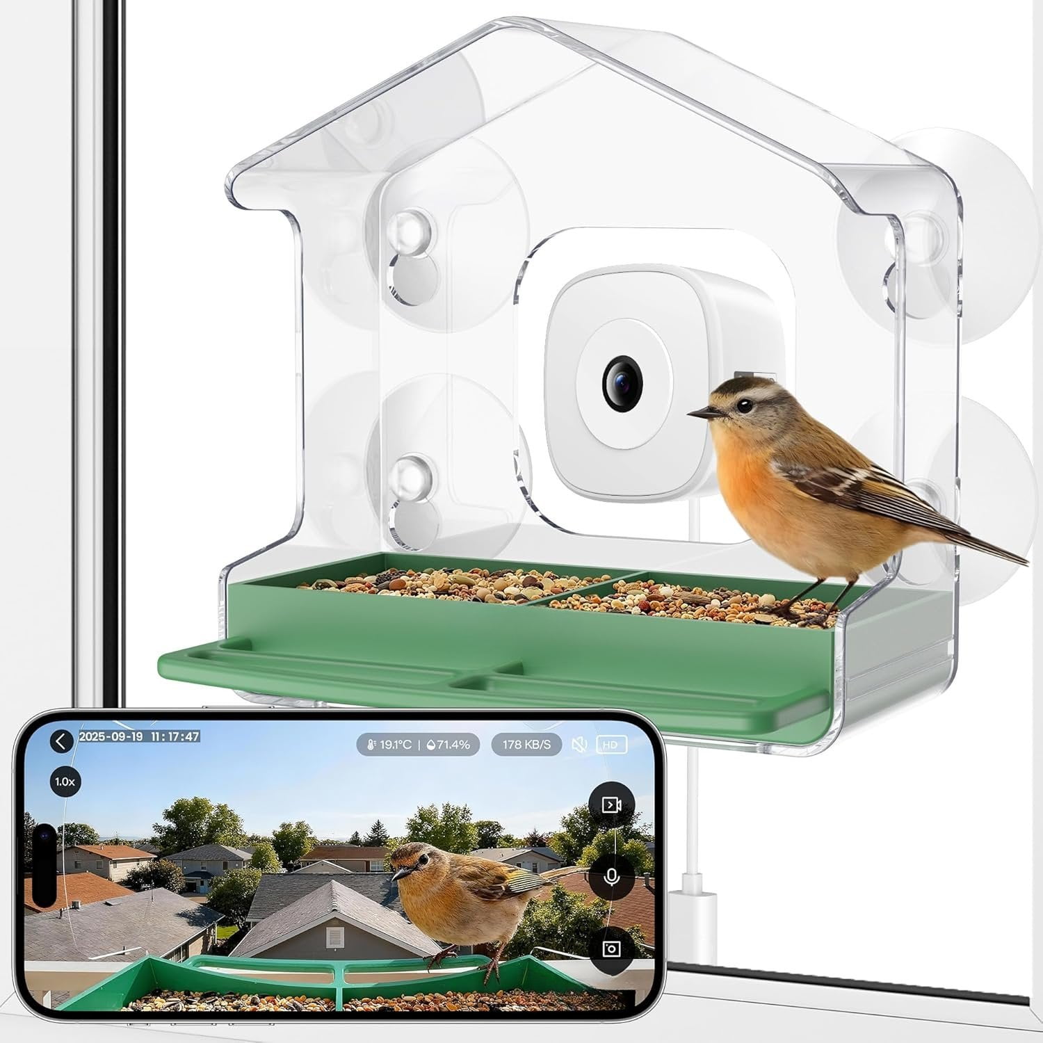 Bird Feeder with Window Camera, Camera for Window Viewing, AI ...