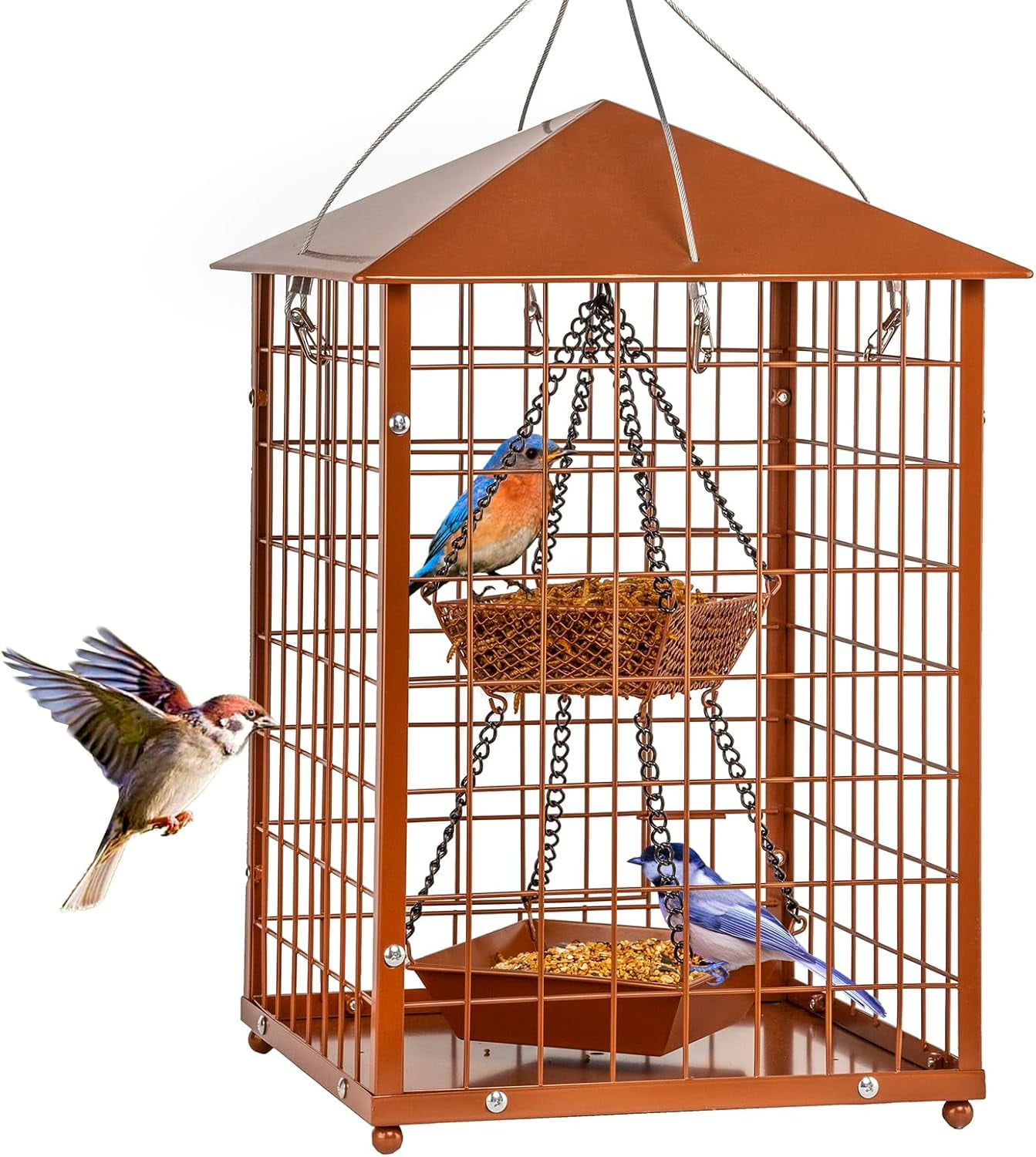 Bird Feeders for Bluebirds - Metal - Huge Caged Squirrel-Proof Bird ...