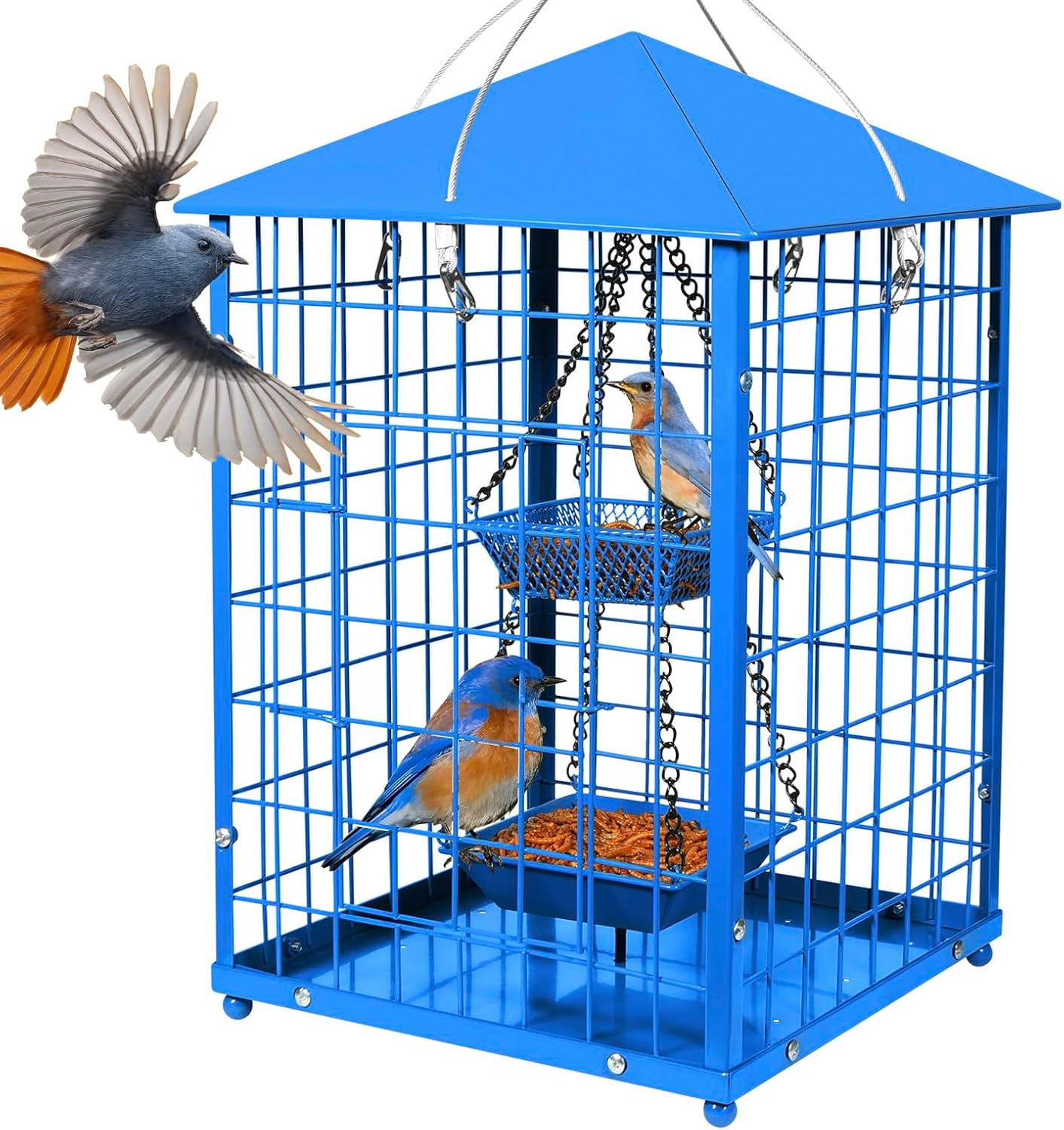 Bird Feeders for Bluebirds - Metal - Huge Caged Squirrel-proof Bird ...
