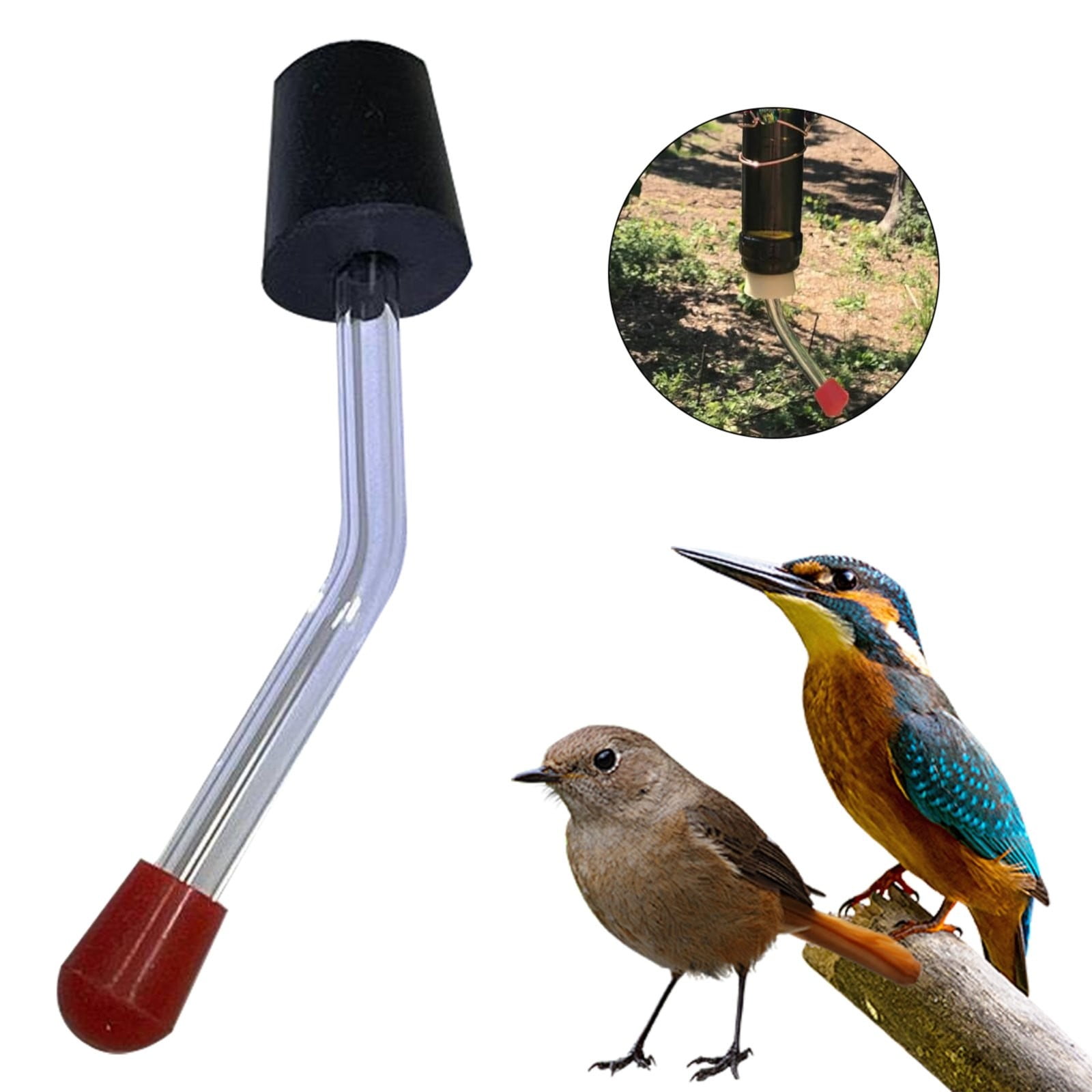 Hummingbird Feeder Replacement Spout 25 Deluxe Hummingbird Feeder Tubes ...