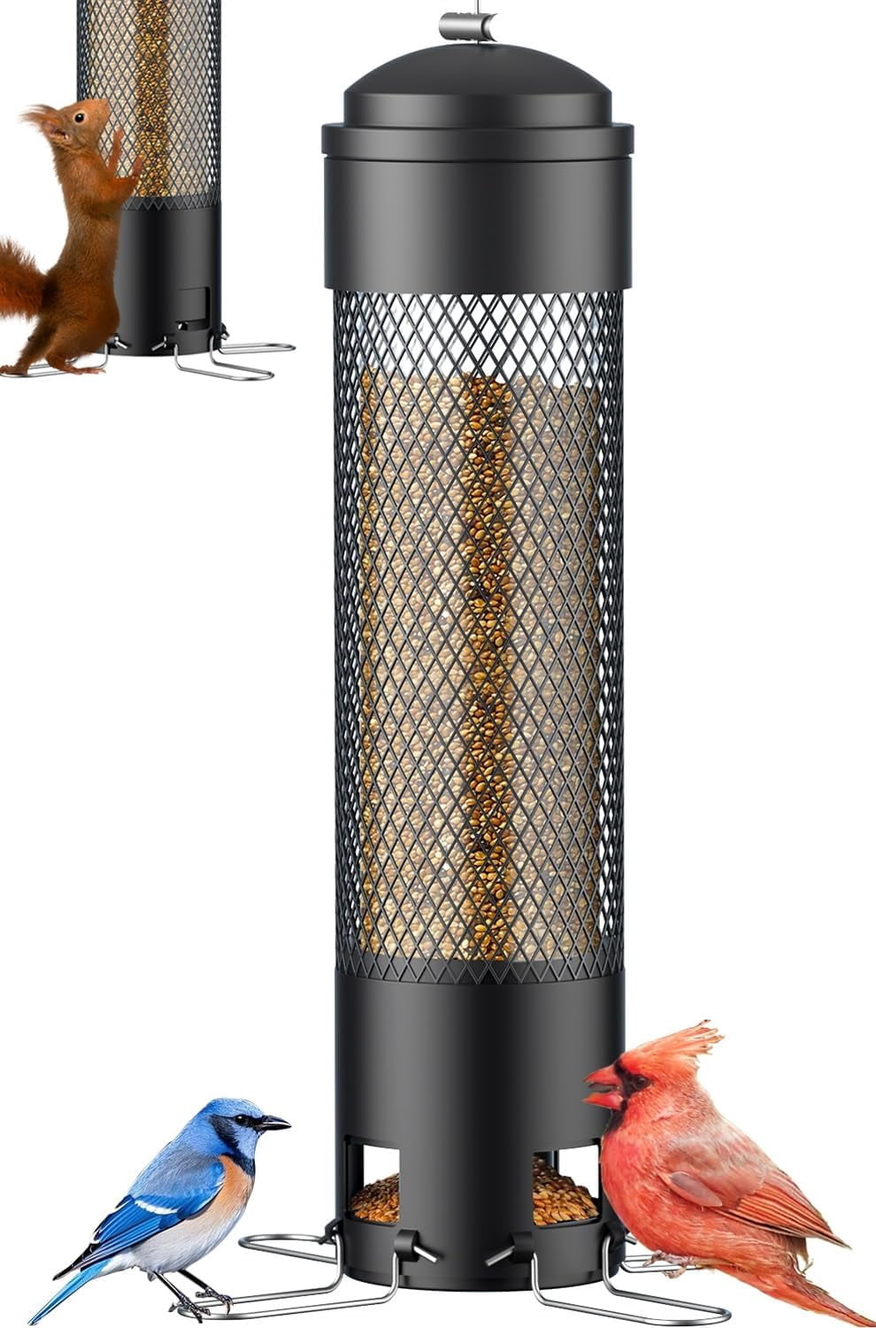 Bird Feeders for Outdoors Squirrel Proof with Weight-Activated Perches ...