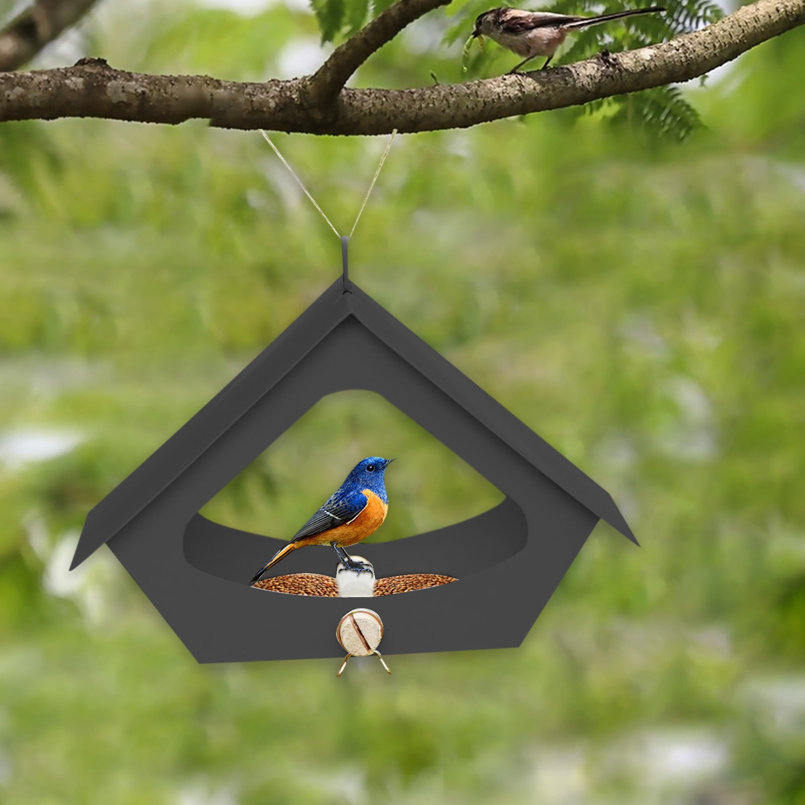 Bird Feeders for Outside Hanging, Wild Bird Feeder House for Cardinals ...