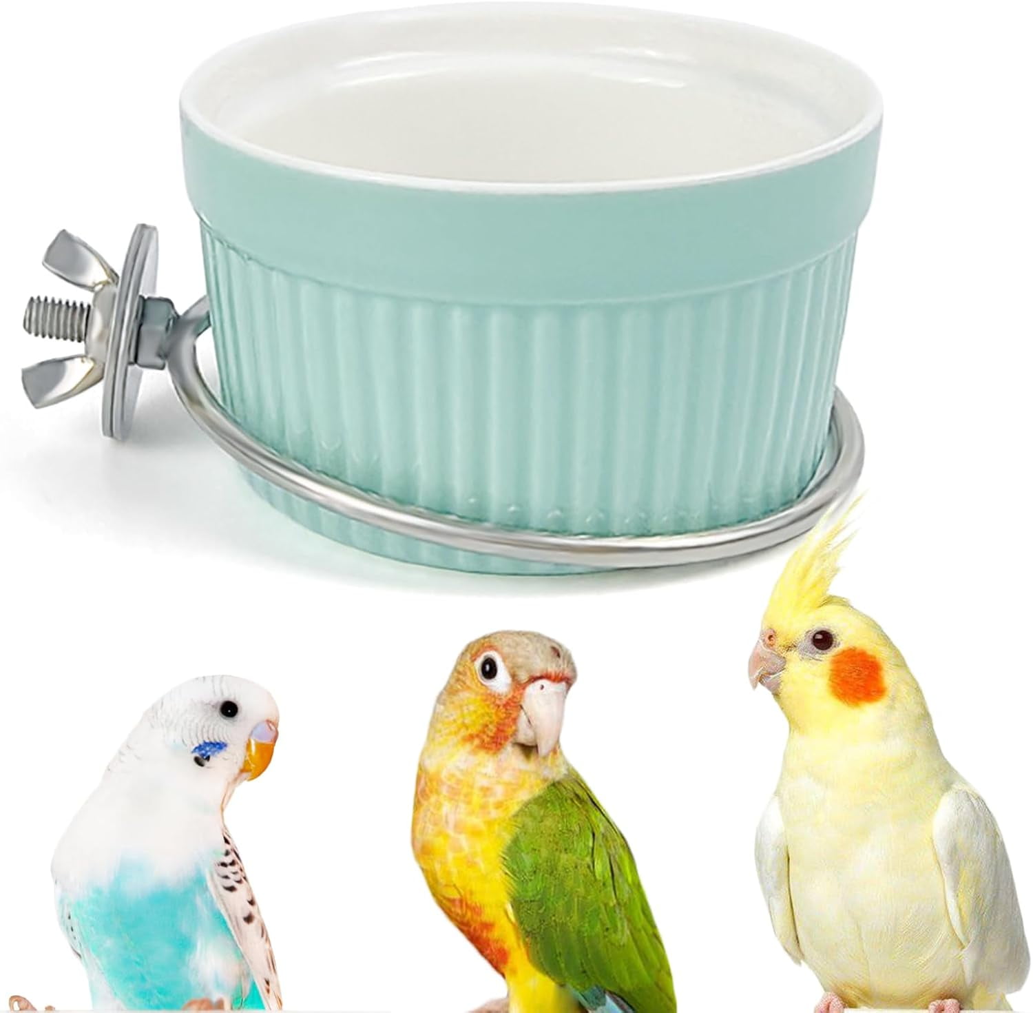 Bird Feeding Dish Cups Parrot Food Bowl Ceramics Parrot Feeders Water ...