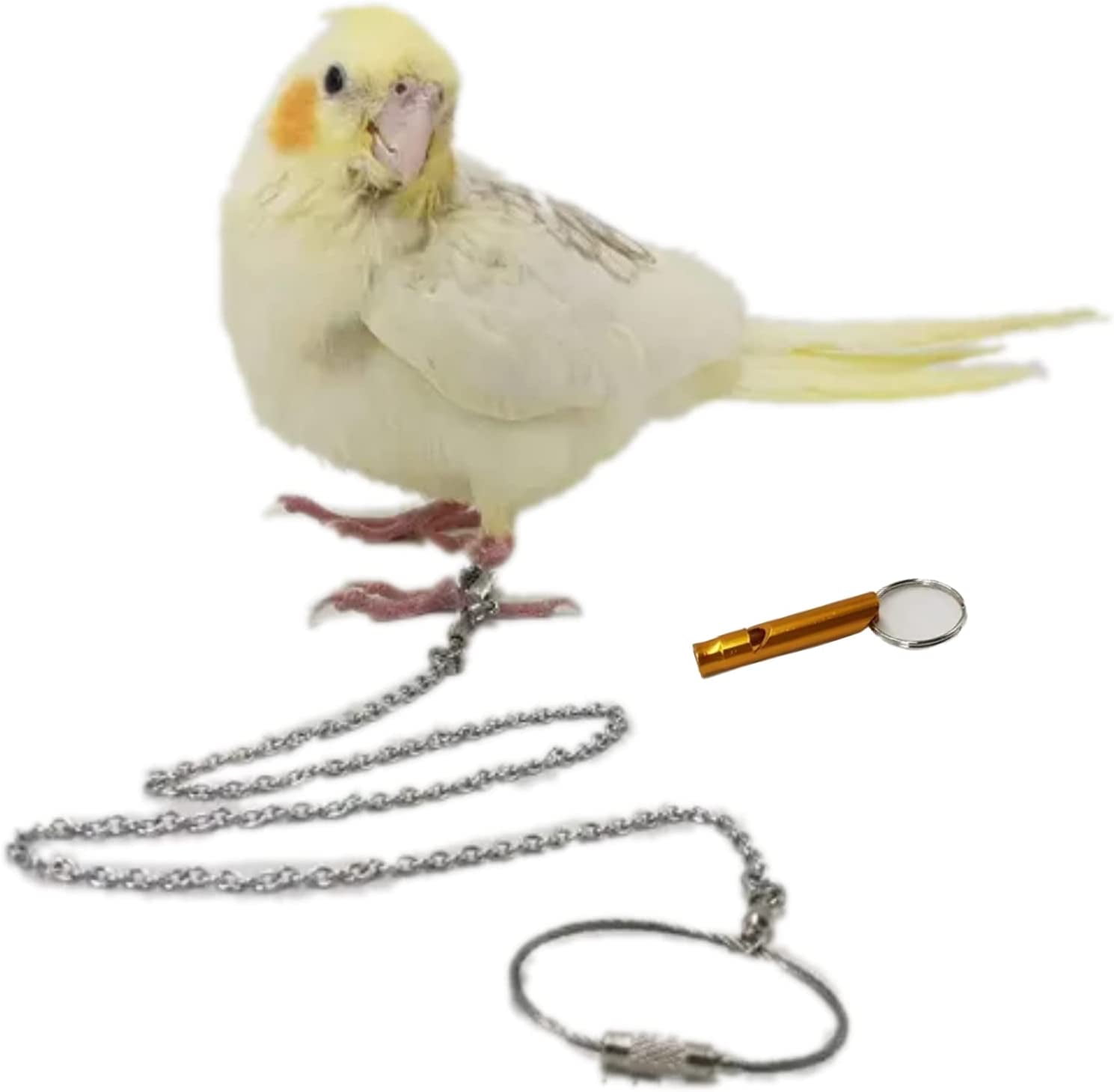 Bird Foot Chain Flying Stainless Steel Training Rope Outdoor Parrot ...