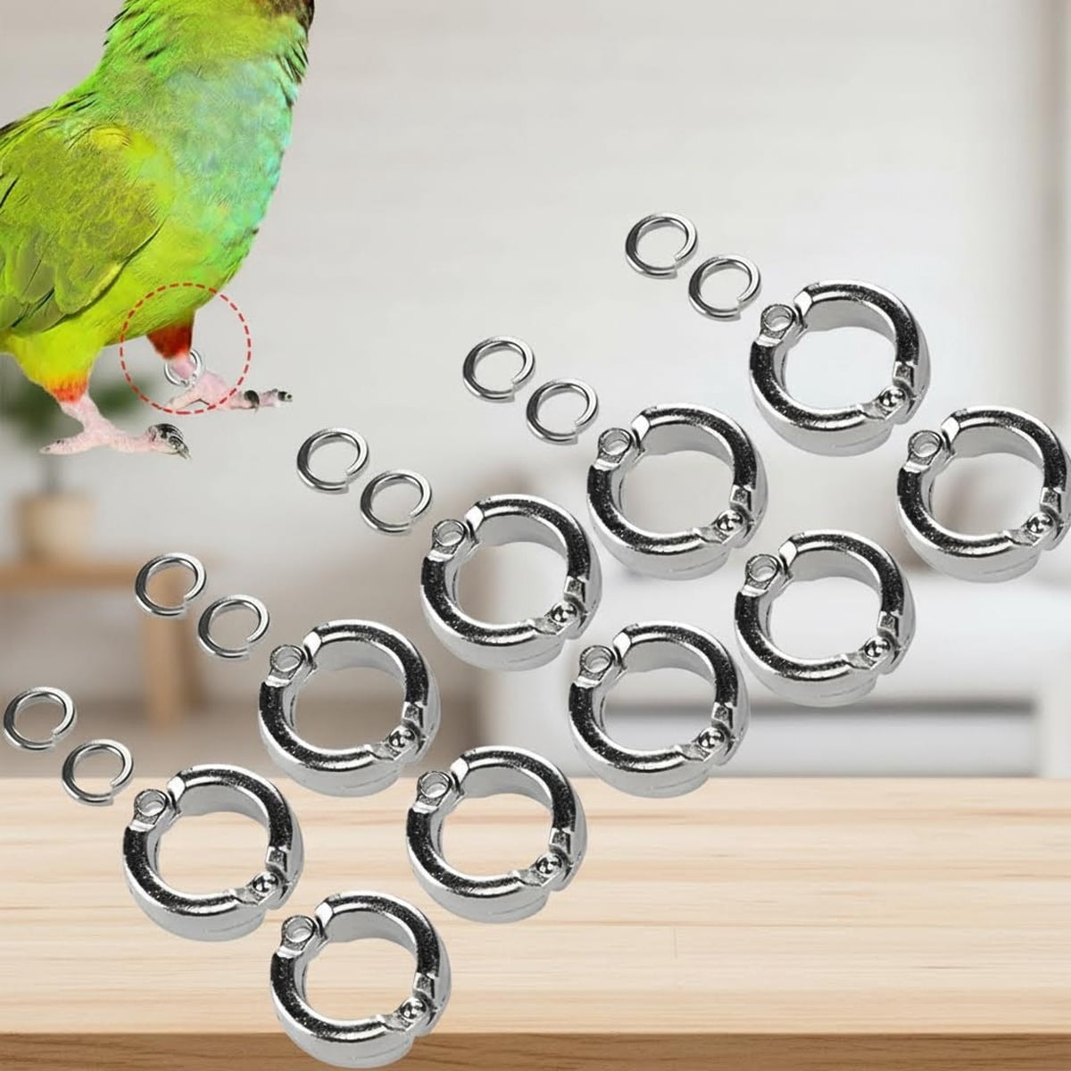 Bird Foot Rings Anti Escape Parrot Leg Ring Anklet Ring for Training ...