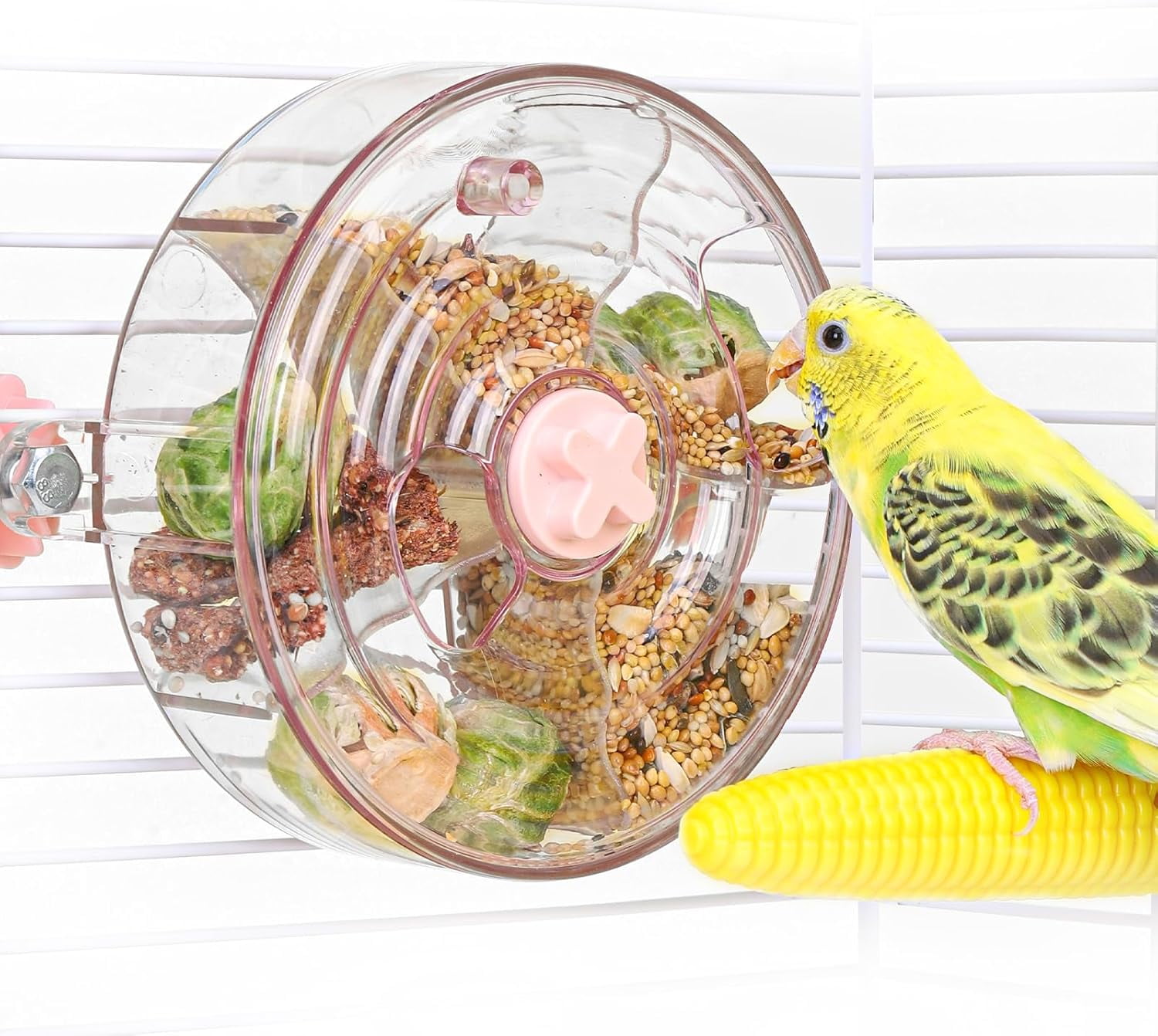 Bird Foraging Toys Seed Food Spinning Training Feeding Parrot Toy for ...