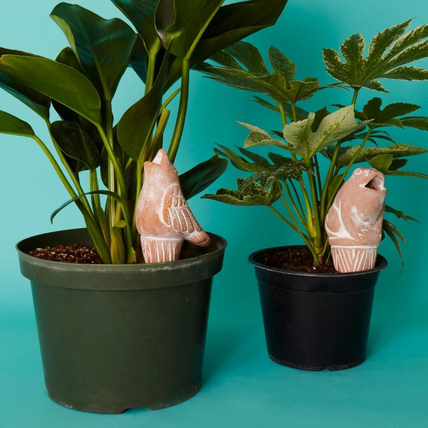 Bird Frog Terracotta Watering Stake Set - Walmart.com