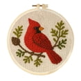 Bird Garden Punch Needle Embroidery Kit, Bird Patterns including ...