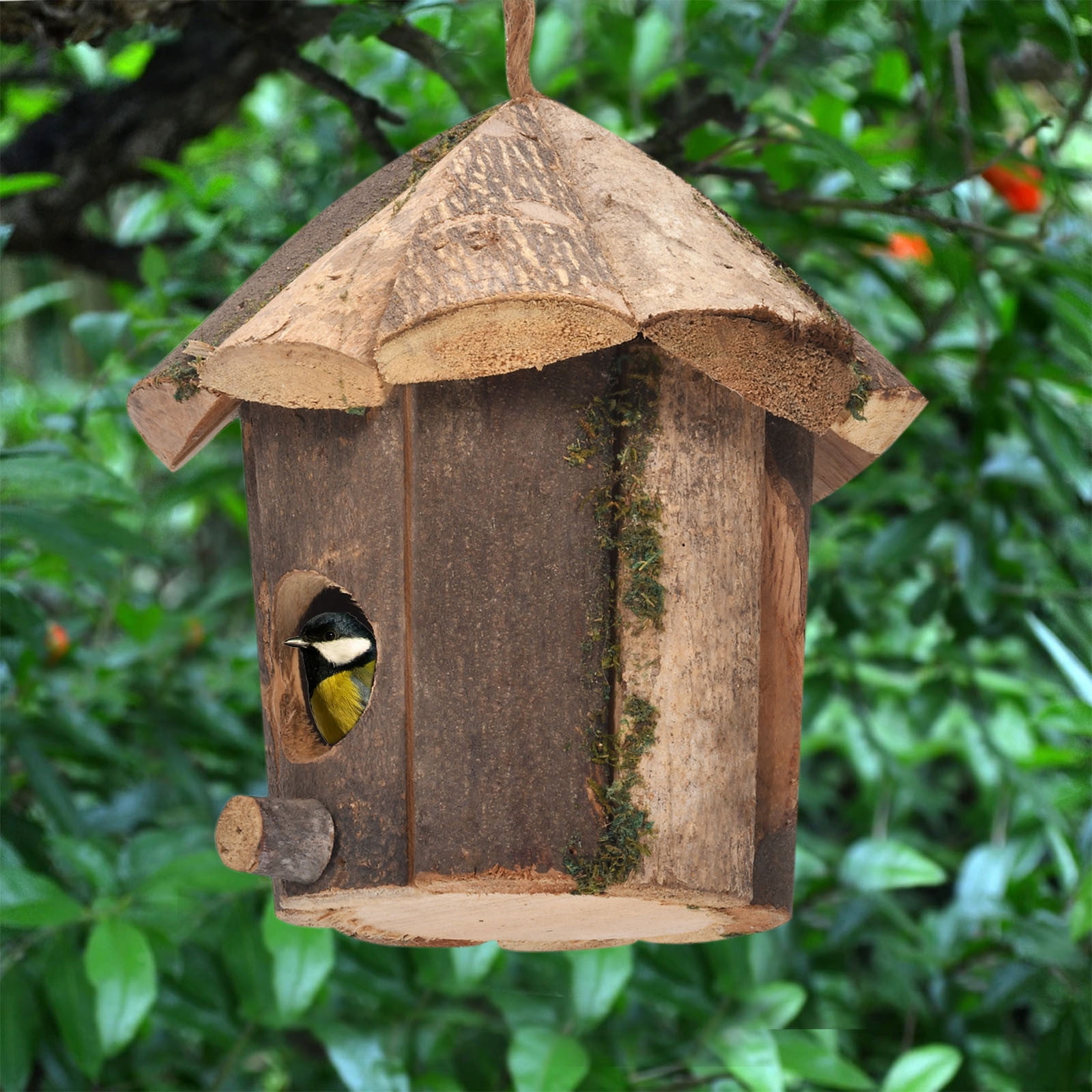 Bird House for Outside with Predator Guard Natural Wooden Bird Houses ...