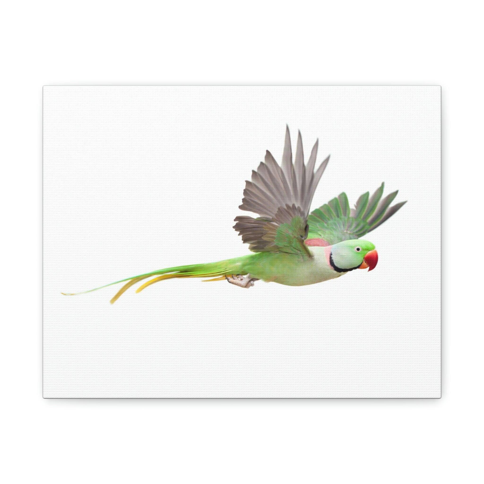 Bird Hunting Bird on Hunt Print Animal Wall Art Wildlife Canvas Prints ...