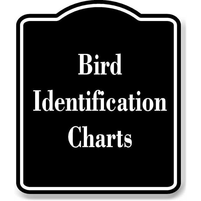 Bird Identification Charts BLACK Aluminum Composite Sign 15''x18 ...