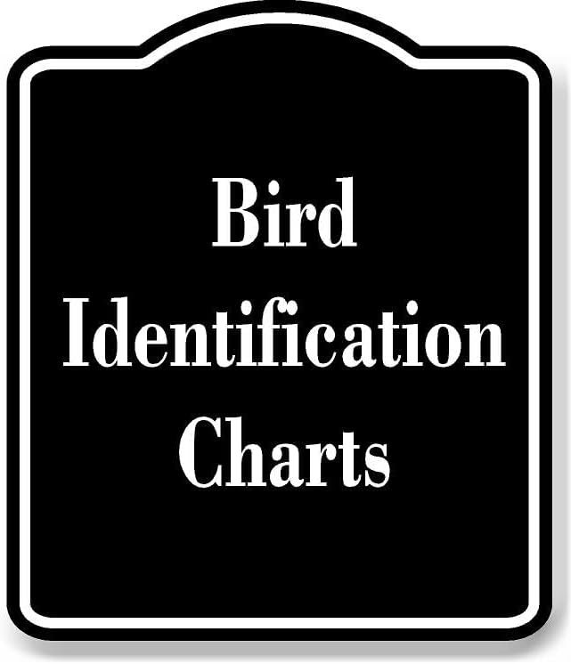 Bird Identification Charts BLACK Aluminum Composite Sign 20''x24 ...