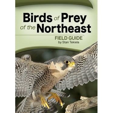 Bird Identification Guides: Birds of Texas Field Guide (Paperback ...