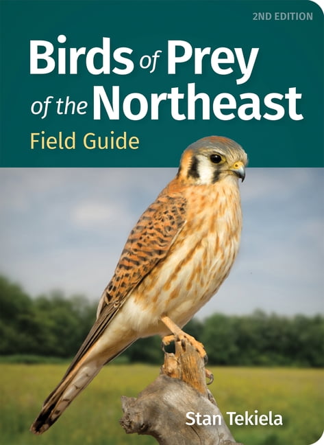 Bird Identification Guides Birds of Prey of the Northeast Field Guide ...