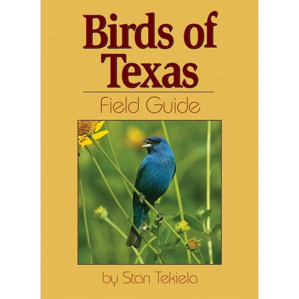 Bird Identification Guides: Birds of Texas Field Guide (Paperback ...