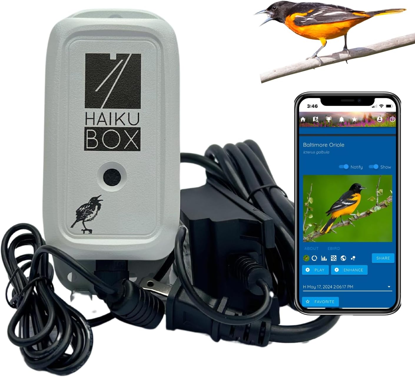 Bird Identifier: Automatic & continuous bird song & call identification ...