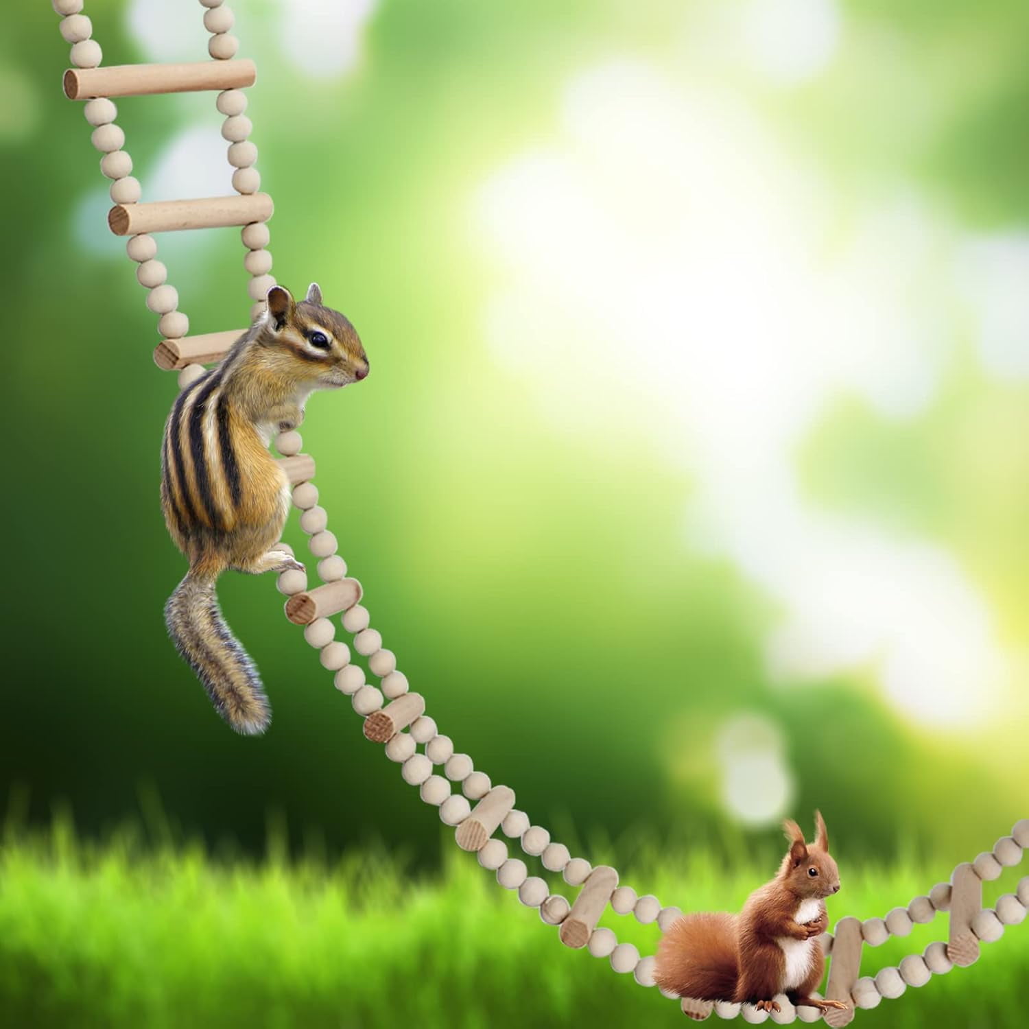 Bird Ladder Bridge, Wooden Pet Climbing & Swing Toy, Cage Accessories ...