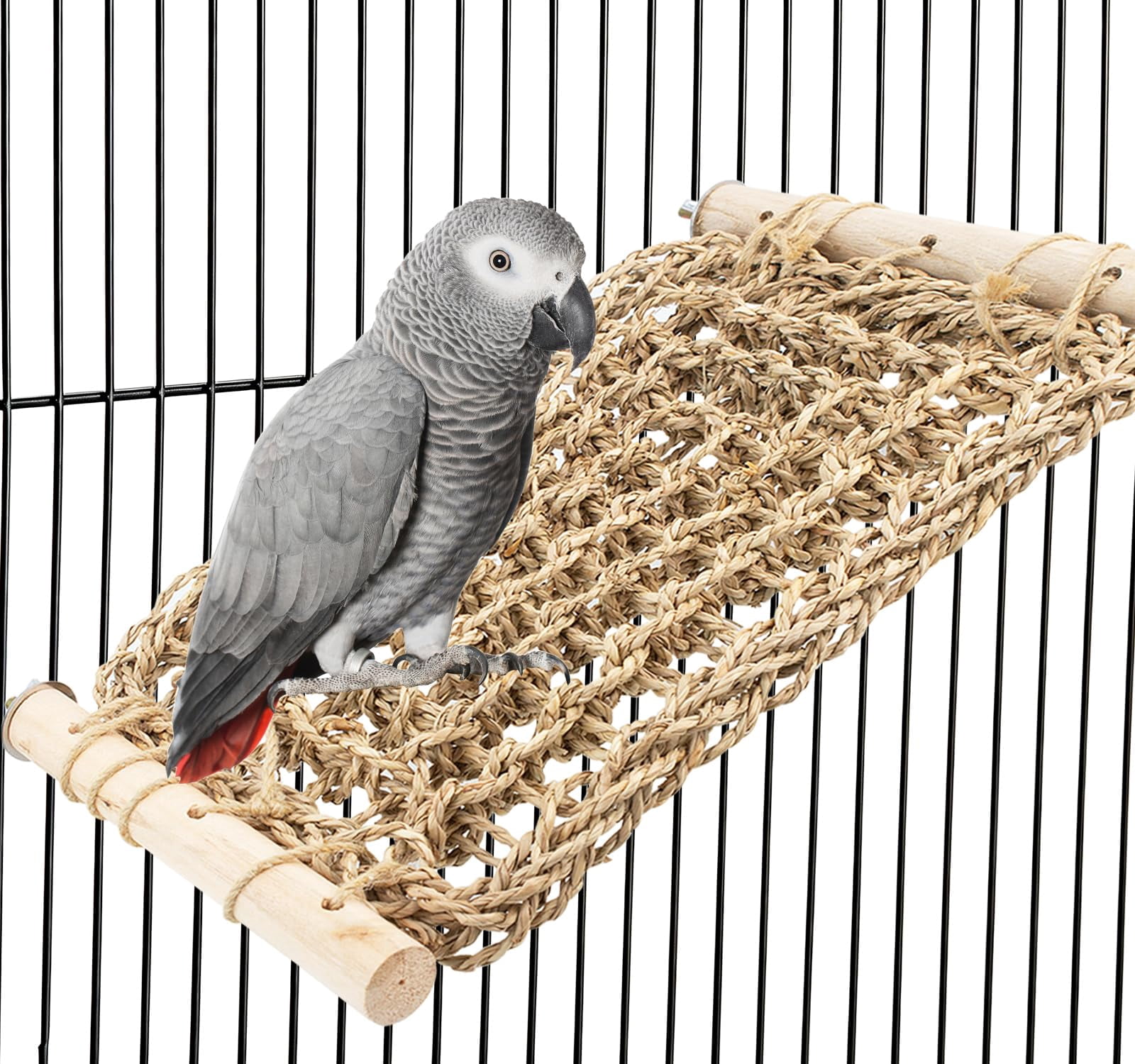 Bird Ladder Perch for Cage, Conure Seagrass Ladder Bridge Exercise ...