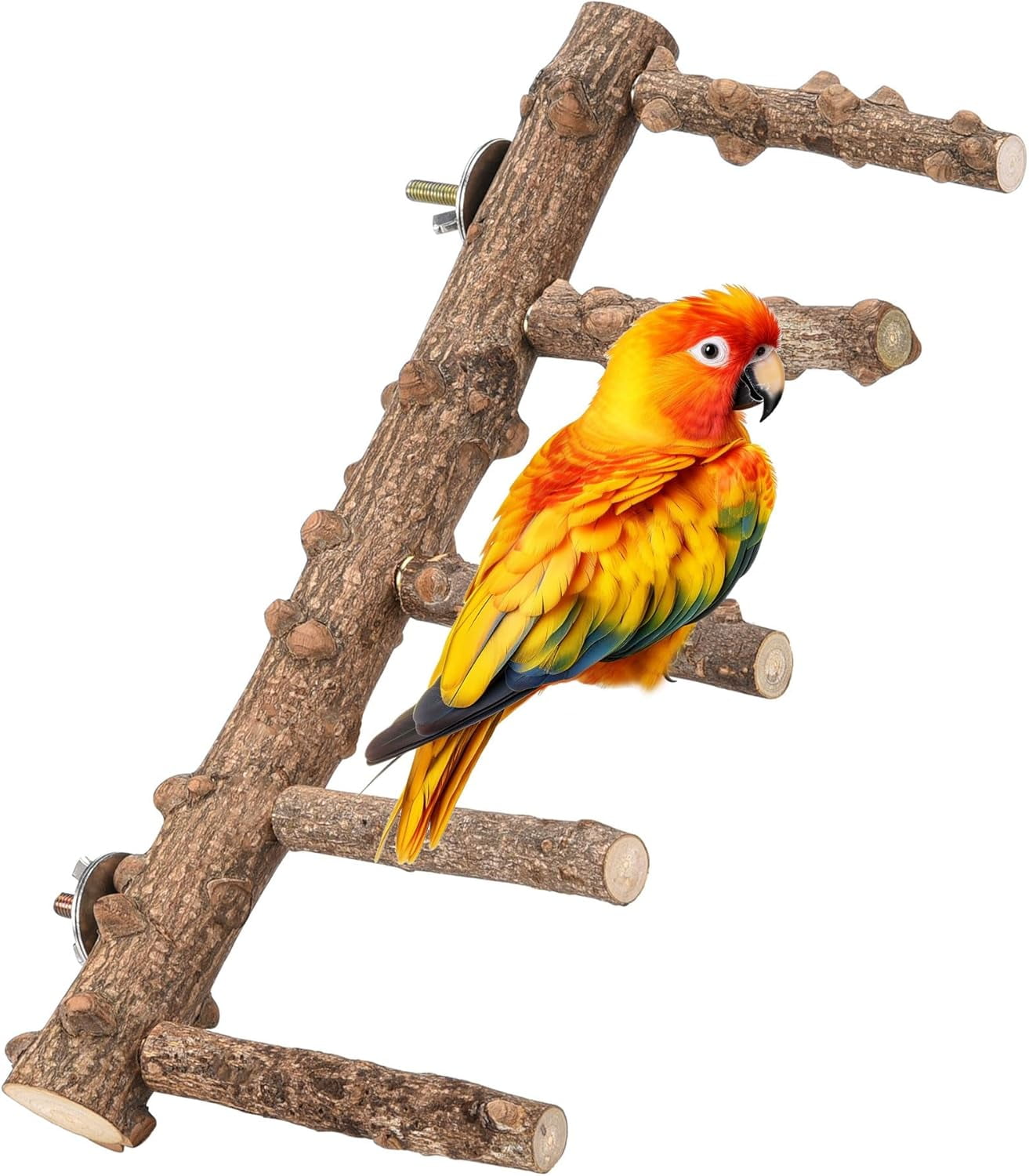 Bird Ladder Perch for Cage, Natural Wood Perch Stand Bridge Climbing ...