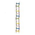 Bird Ladder for Lovebirds Parrots Wooden Beads Climbing Activity Play ...