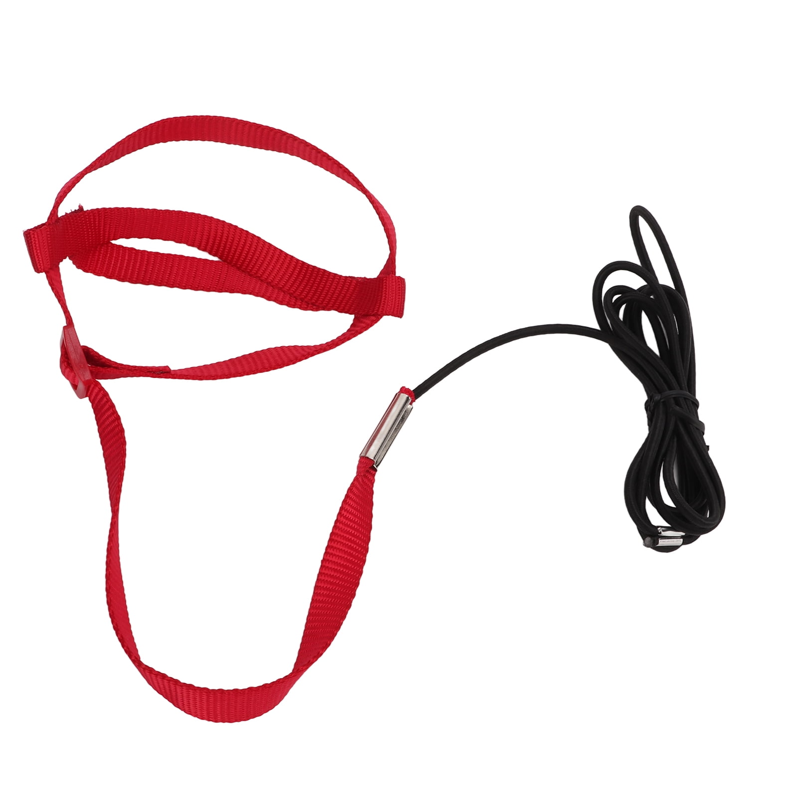 Bird Leash, 8 Shaped Strap Bird Flying Rope Easily Buckled For Walking ...