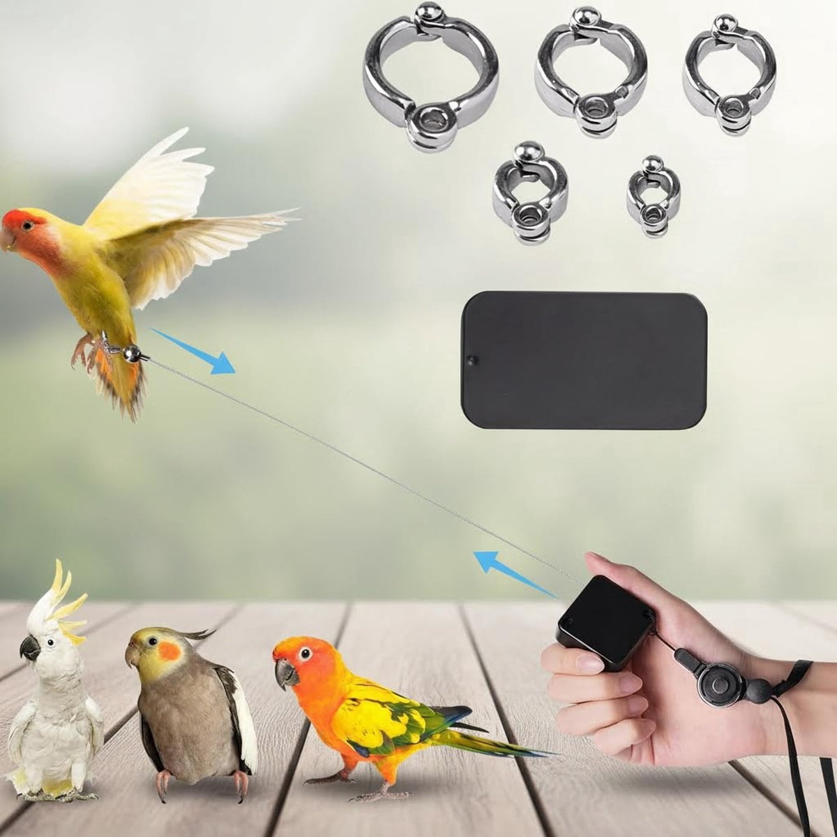 Bird Leash with Foot Ring and Feeder Box, Retractable Anti-Bite Parrot ...
