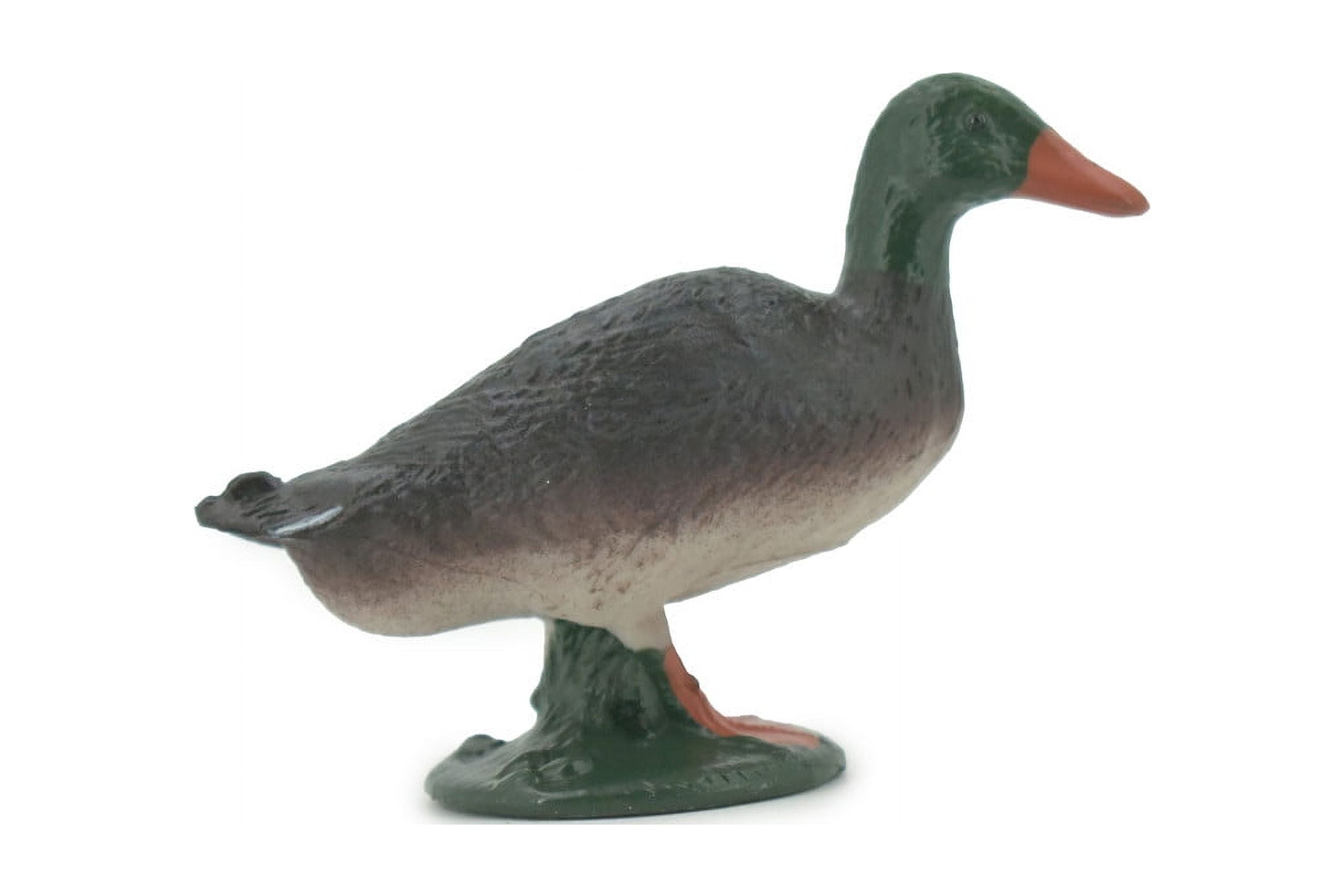 Bird, Mallard Duck, Drake, Male, Museum Quality, Hand Painted, Rubber ...