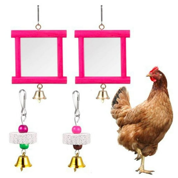 Bird Mirrors With Metal Bells Cockatiel Parakeet Mirror For Cage Bird ...