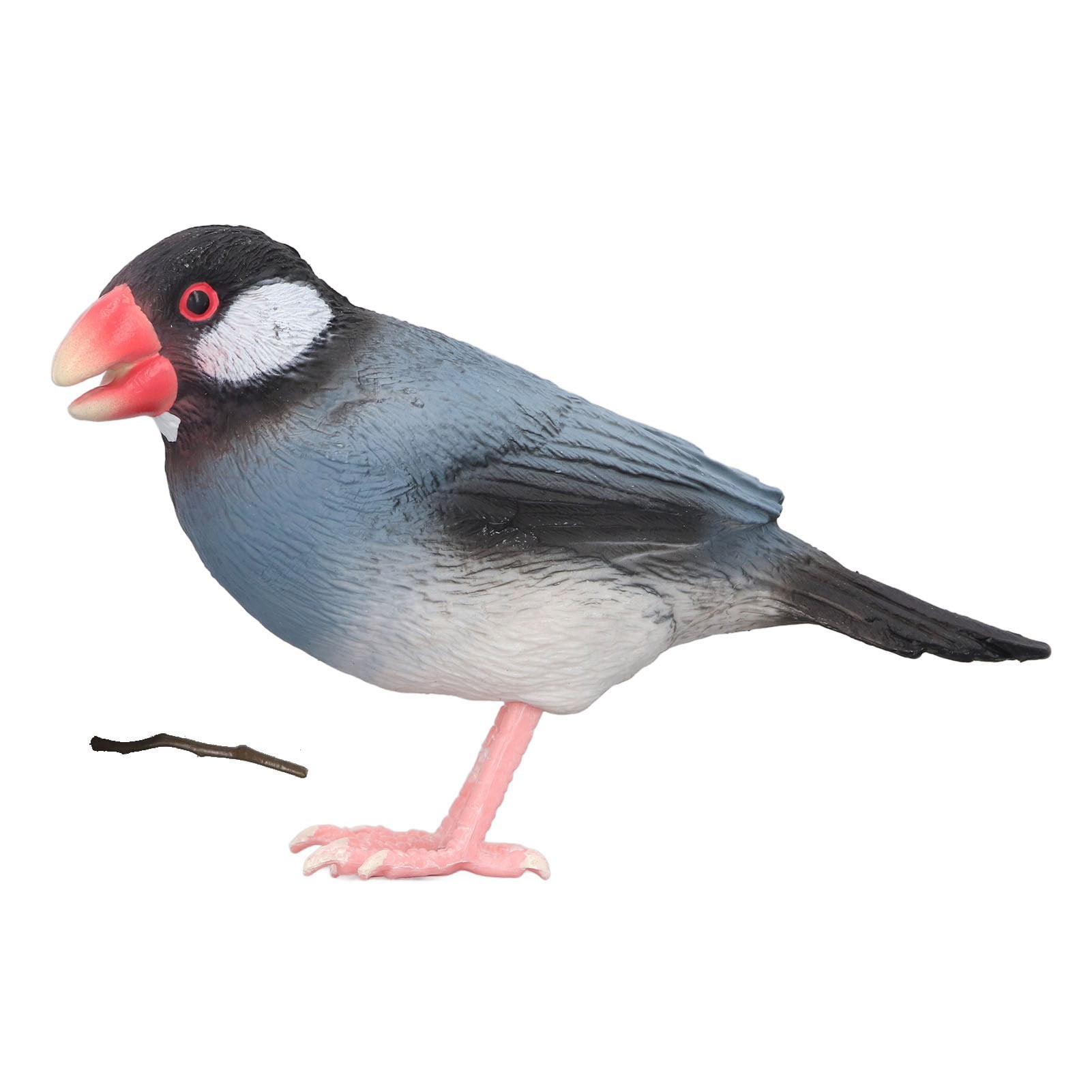 Bird Model High Simulation Bird Animal Figure Educational Ornament For ...