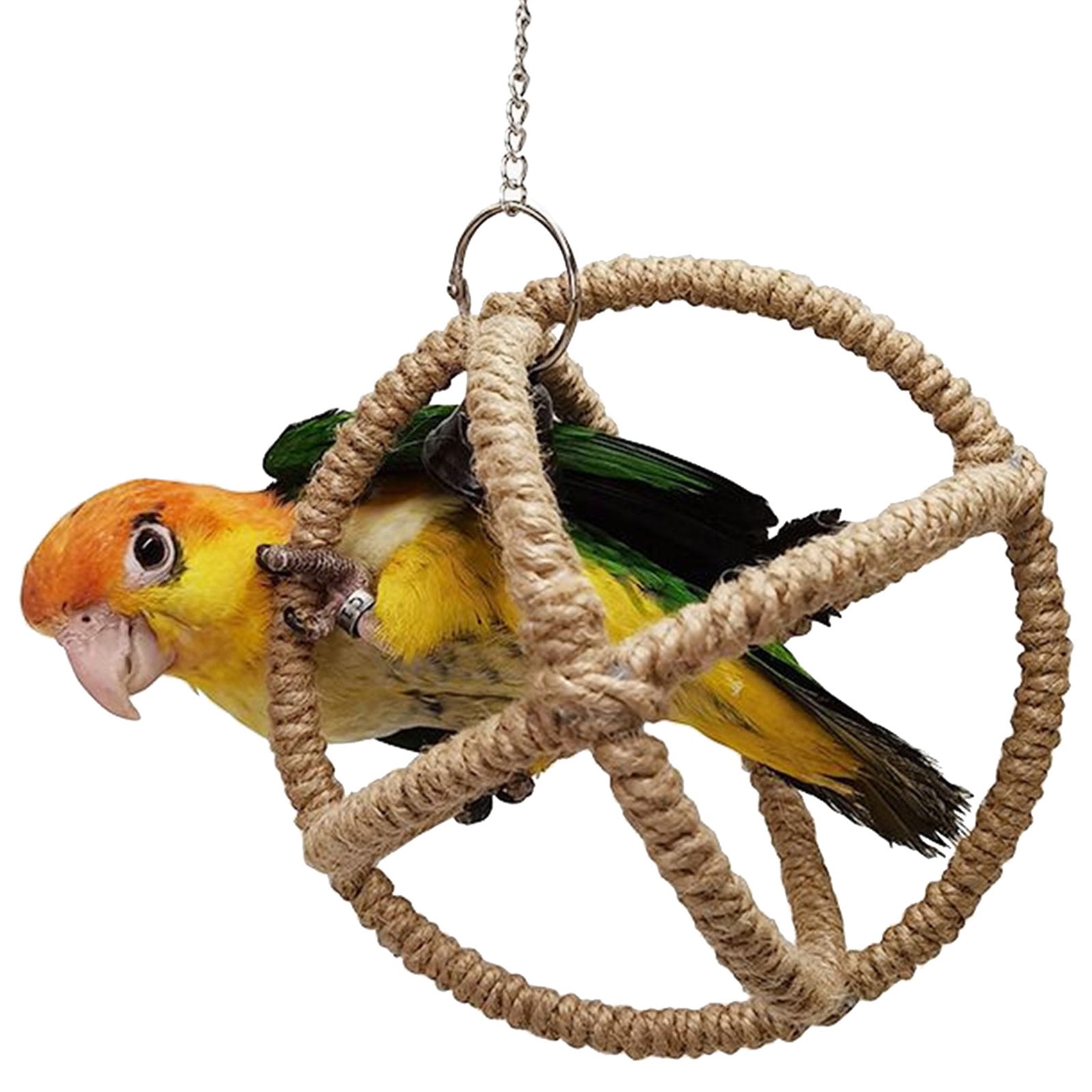 Bird Molar Toy for Parrots Hollow Birds Molar Chewable Molar Colorful ...