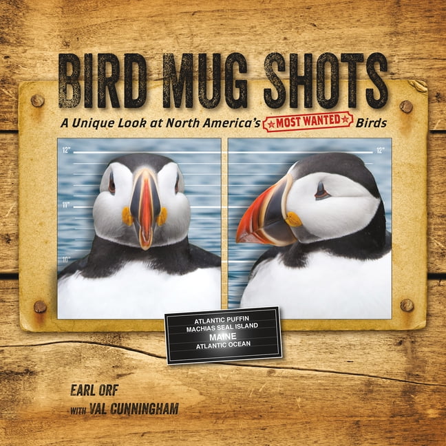 Bird Mug Shots: A Unique Look at North America's Most Wanted Birds ...