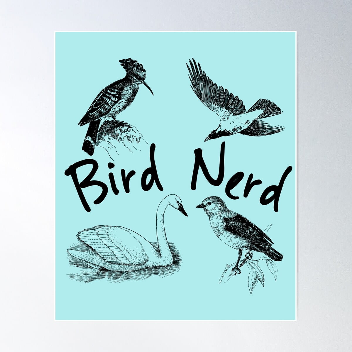 Bird Nerd, Bird Watching, Ornithologist, Bird Protection, Bird Rescue ...