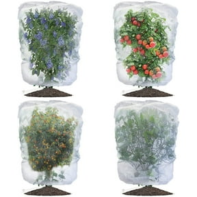 Blueberry Bush Protection