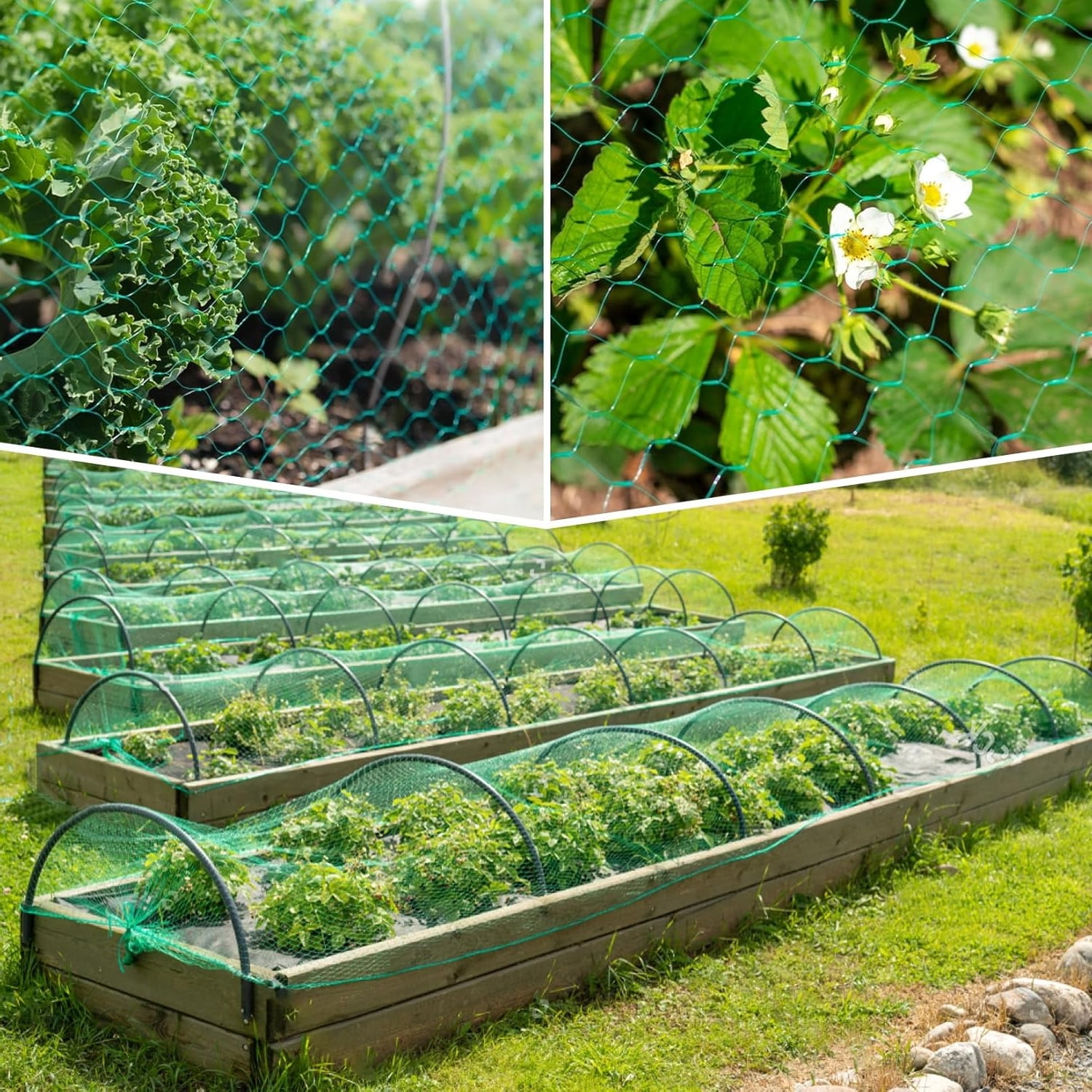 Bird Netting for Garden - Garden Netting Mesh for Garden Protection ...