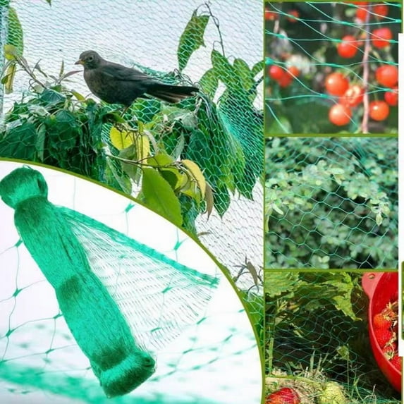 Bird Netting for Garden Protect Vegetable Plants and Fruit Trees ...